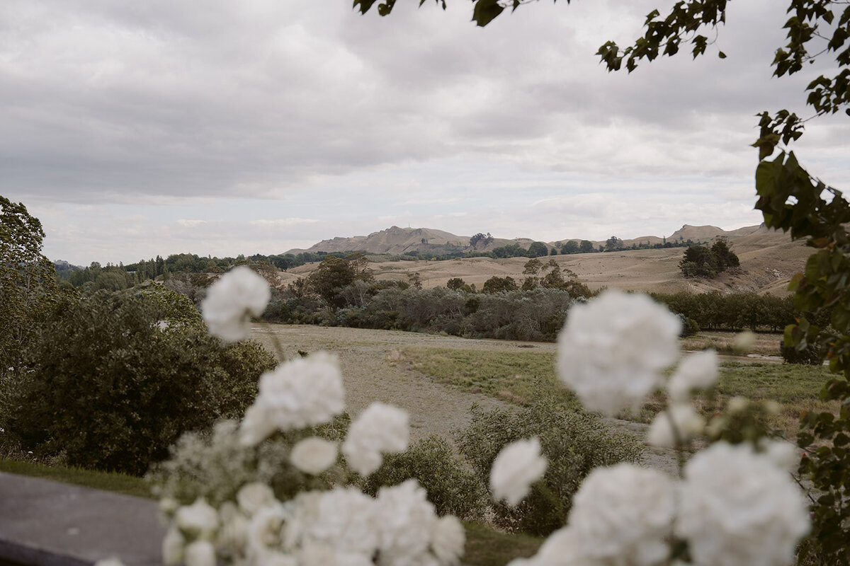 Wedding Gallery - Rochelle & Josh