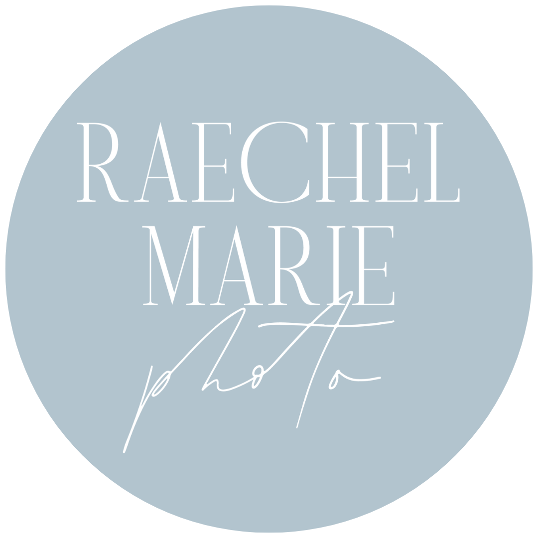 Michigan, Chicago, Detroit & Destination Wedding Photographer | Raechel ...