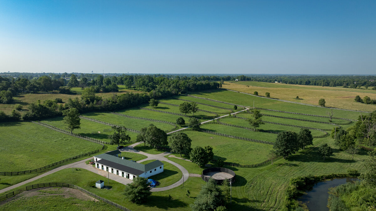 Nicky Drion Thoroughbreds | Breeding & Sales in Kentucky