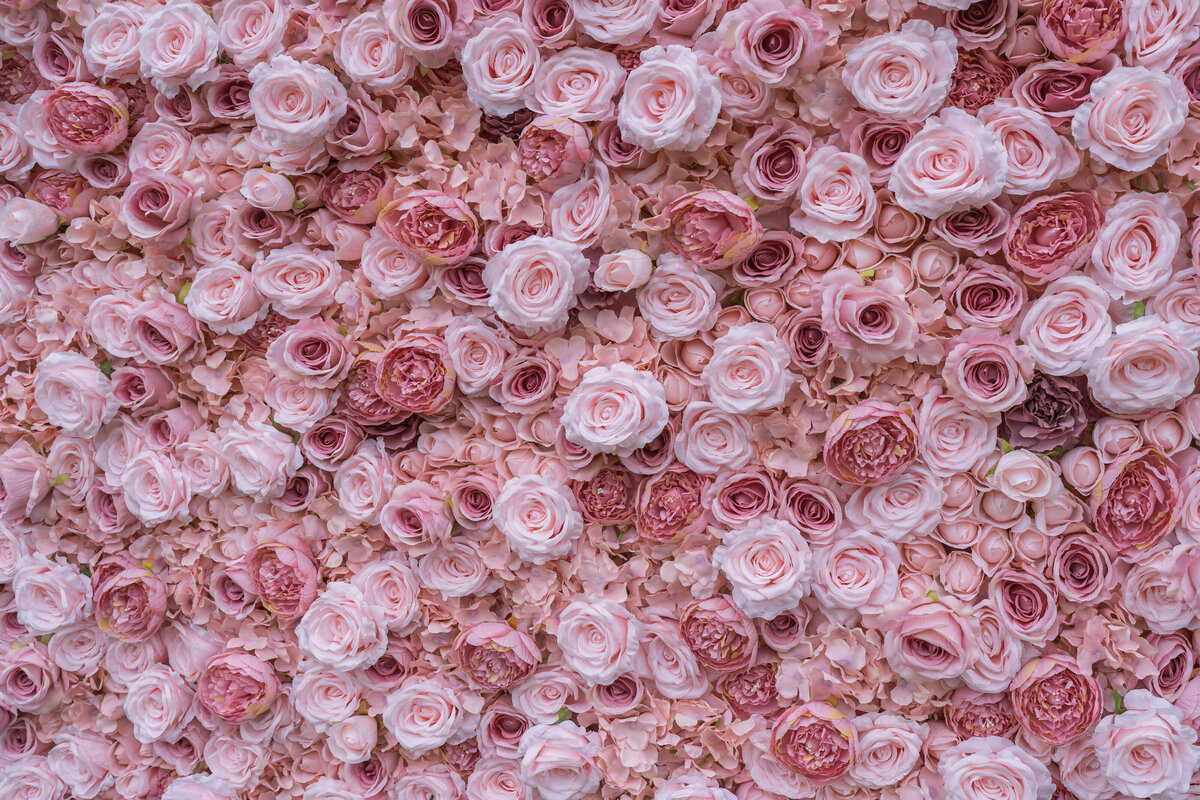 Party Blooms | Pittsburgh Flower Wall Rentals