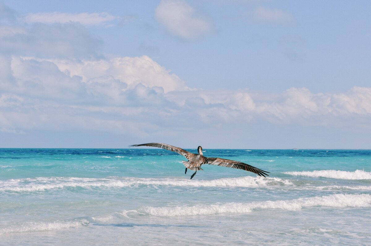 The Woodlands Travel Agency | Luxury Vacations for Families & Couples