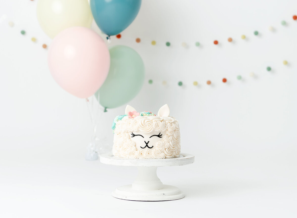 Coming Soon [lcephotography.com]