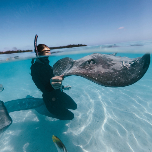 Taylor Dewey: Photographer and Videographer