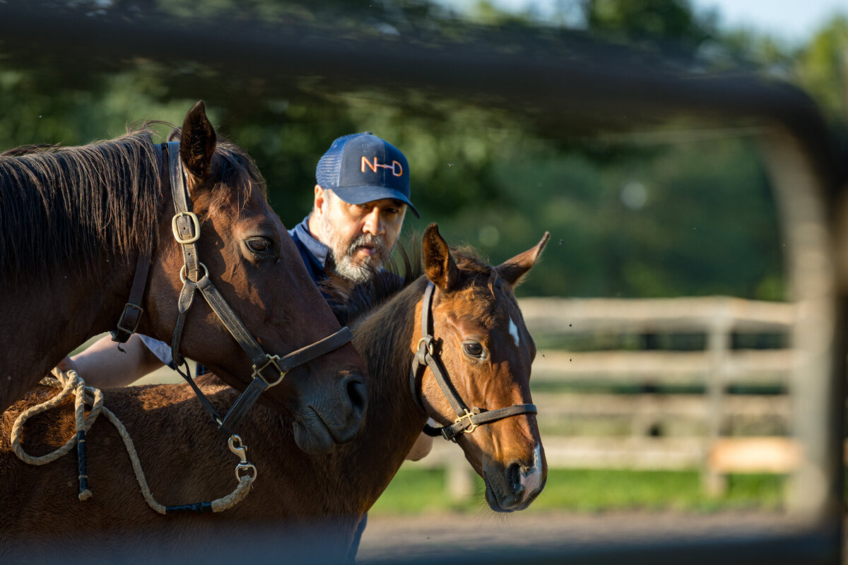 Our Services | Breeding, Boarding, Sales Prep & Consignment