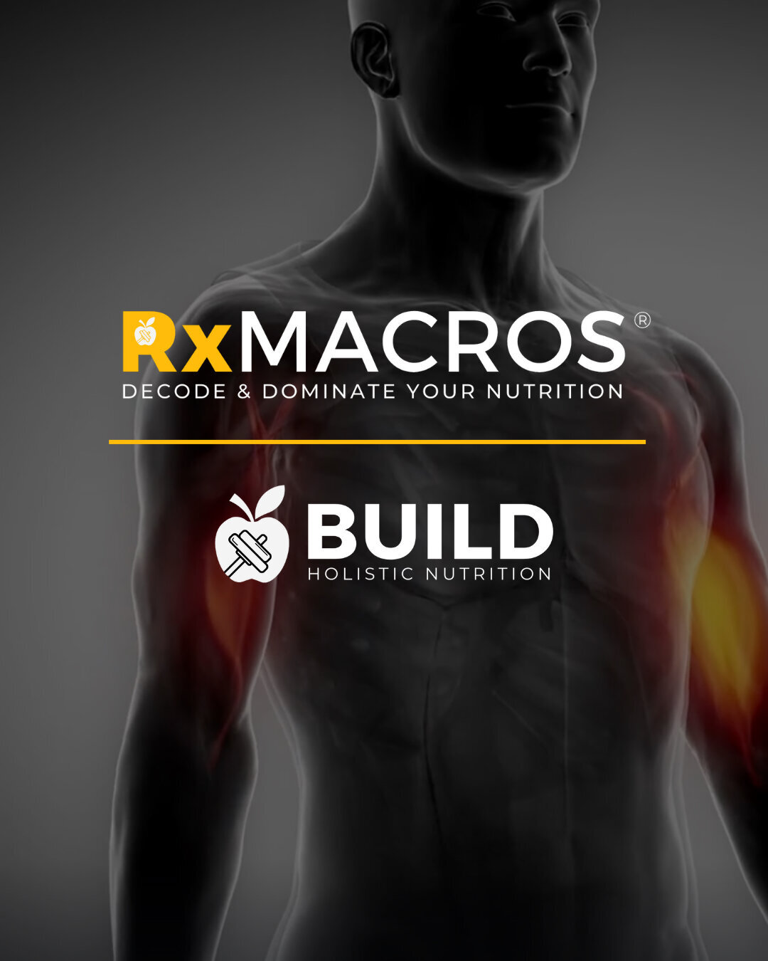 Rx Macros, Personalized Macros & Nutrition| Build Nutrition