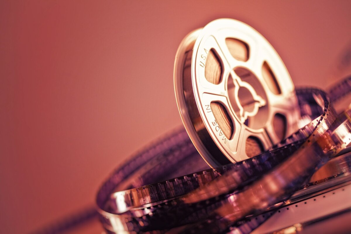 The Wisdom of the Forest