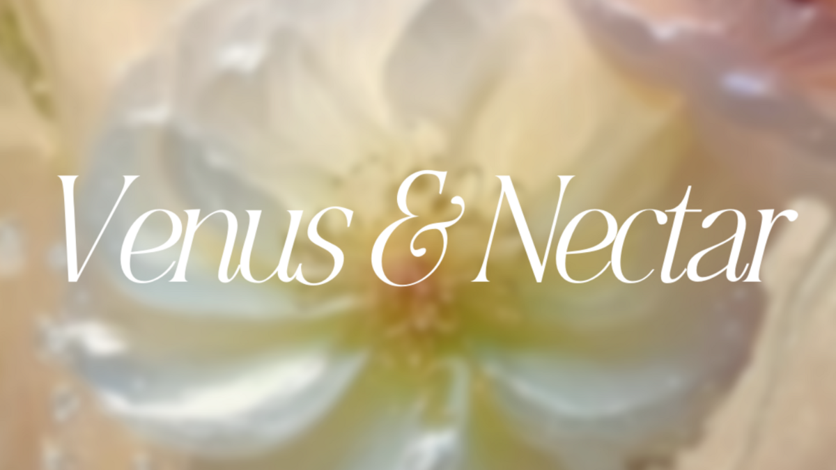 Portfolio | Venus and Nectar Soulful Design Studio