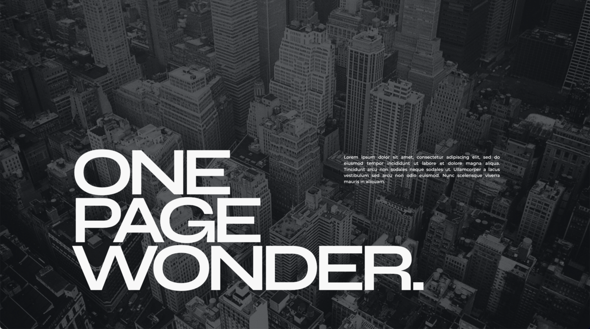 Shop ONE PAGE WONDER Template - HIGHLINE HAUS.