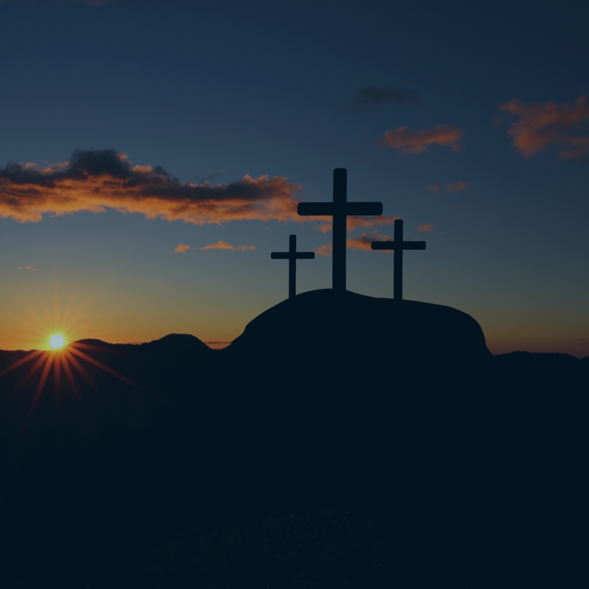 TELL | In the Beginning Study Materials