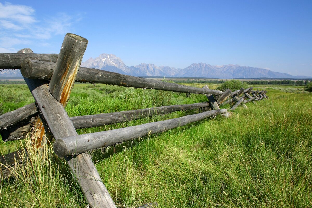 Buck & Rail Fences | Spring Creek Fence & Deck