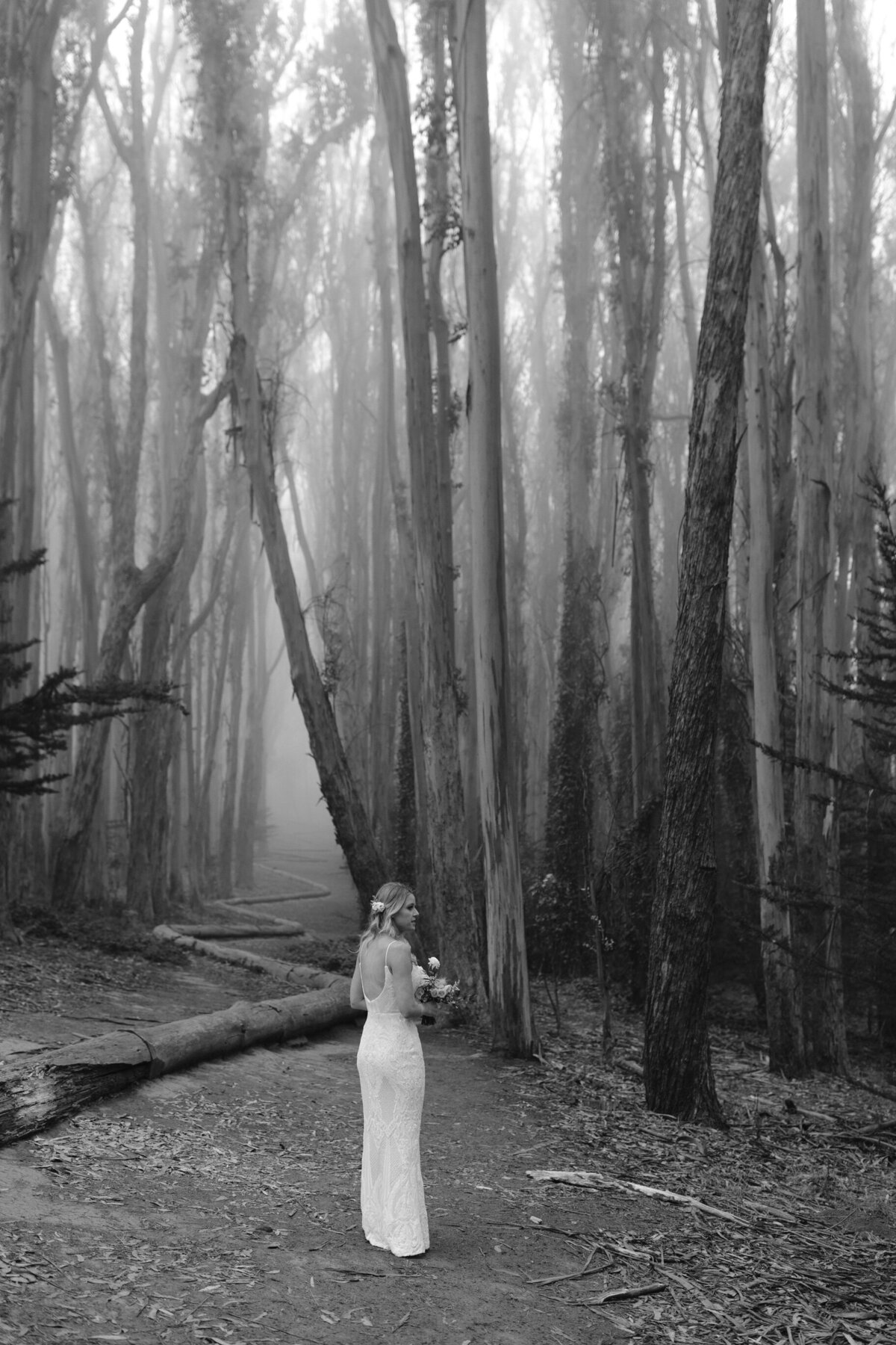 Portfolio — Allison Stoddard Norcal Wedding Photographer