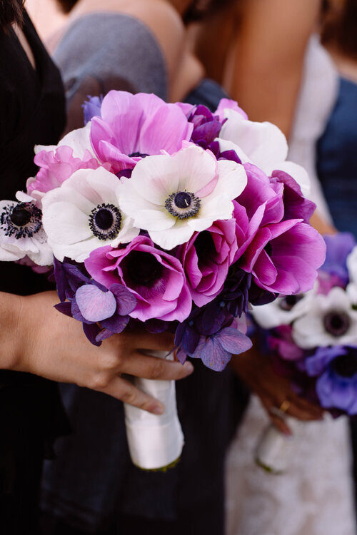 Portfolio | Kate Neal Photography