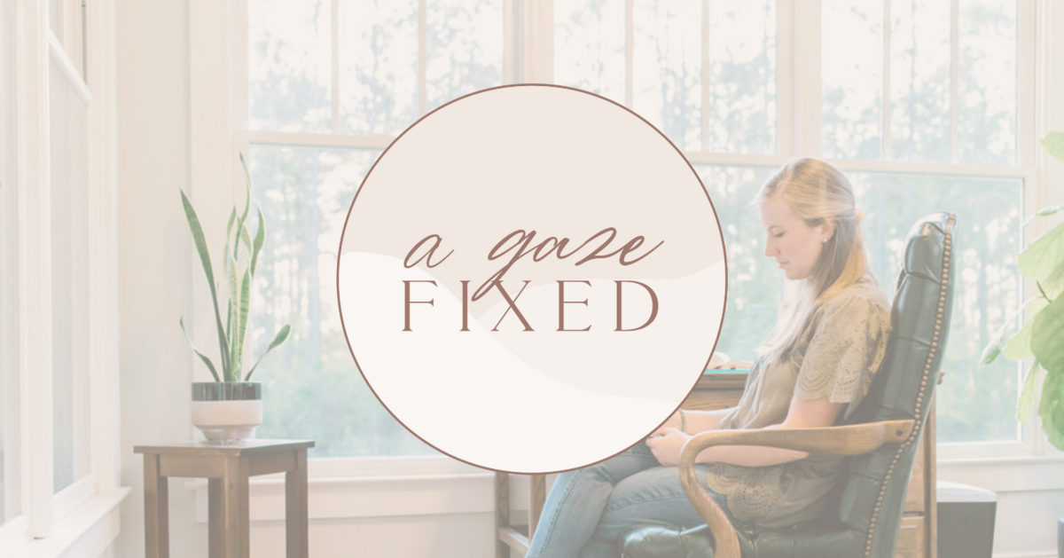 A Gaze Fixed | By Casey Martin