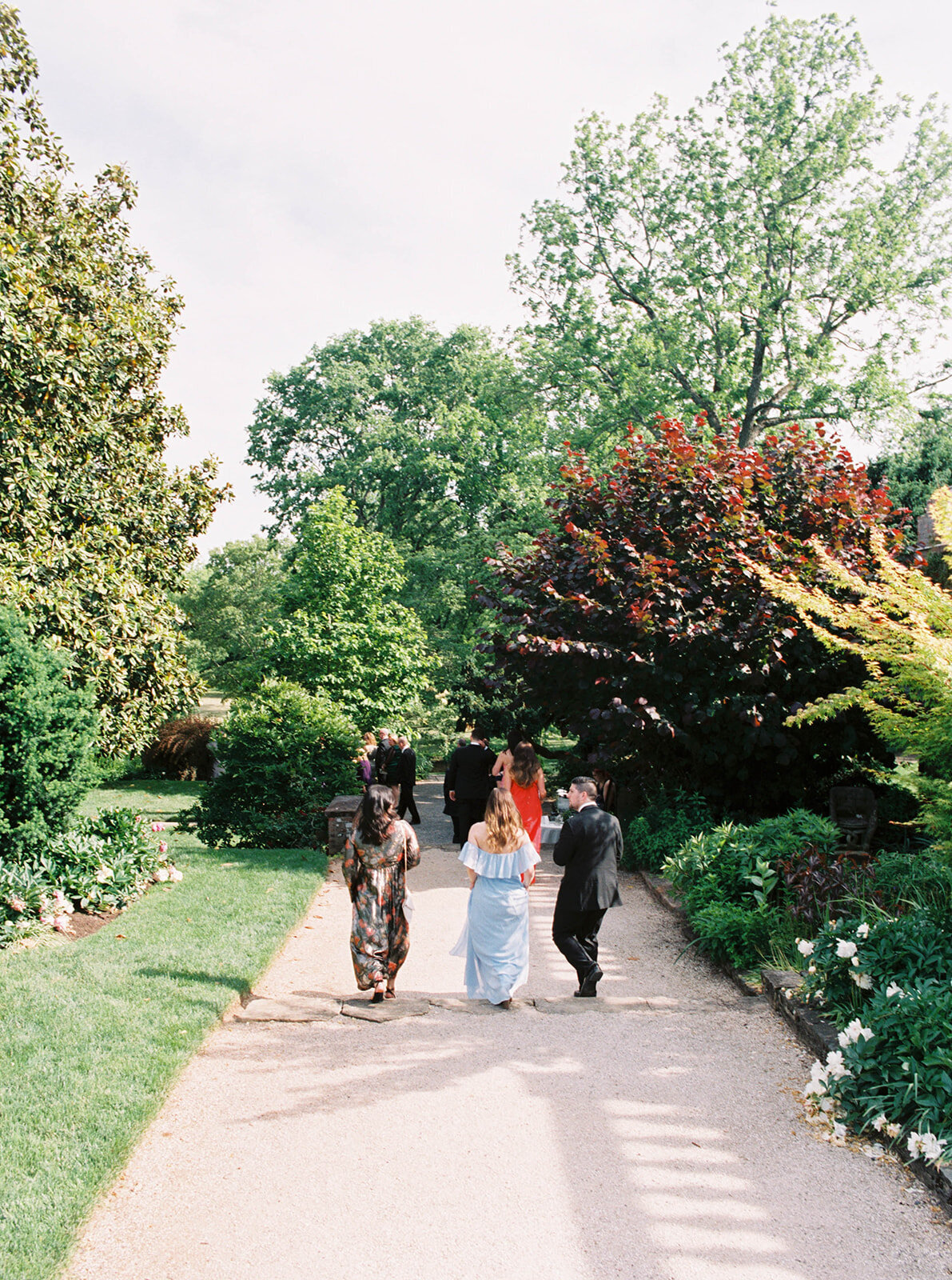 Portfolio | Carly Rose Photography