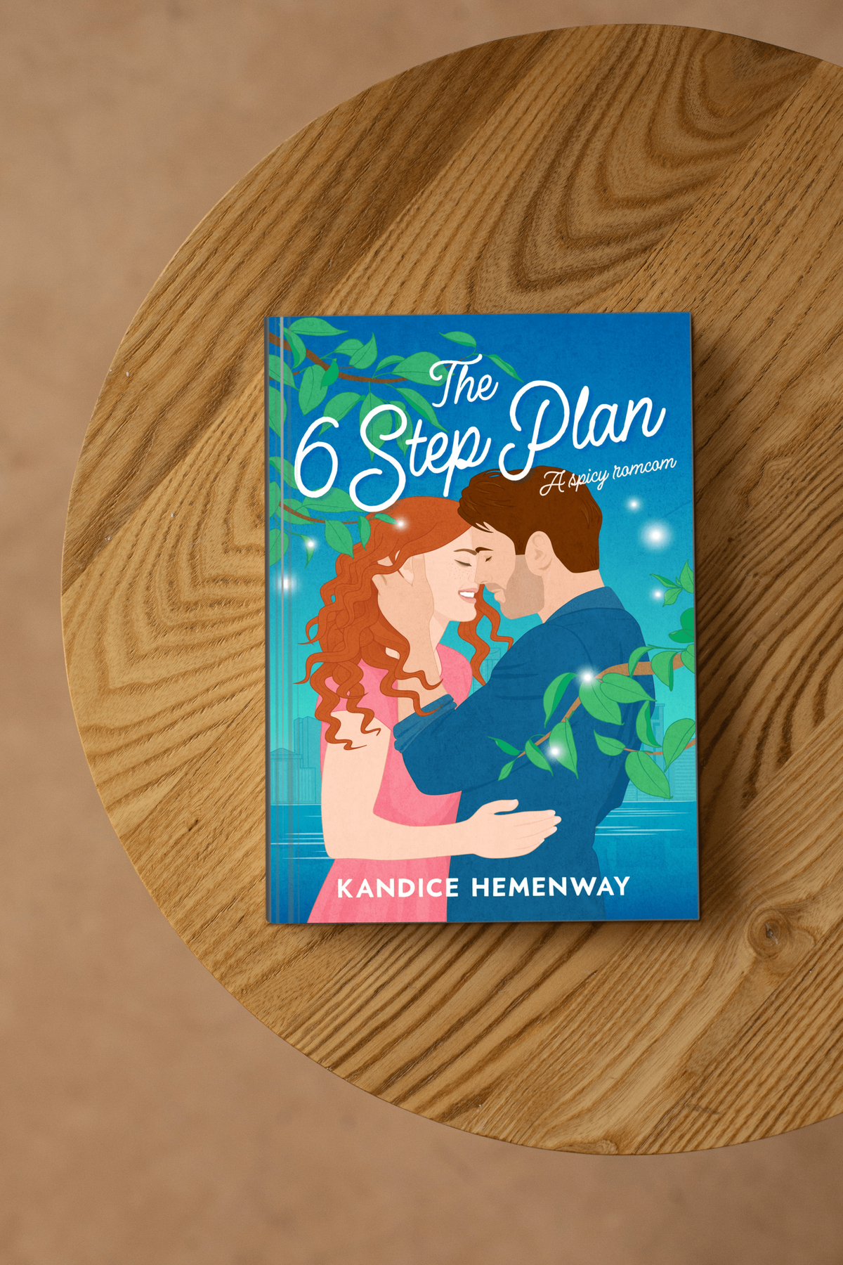 The 6 Step Plan