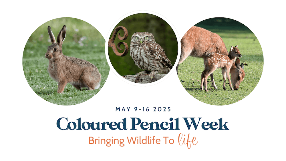 Resources | Coloured Pencil Week