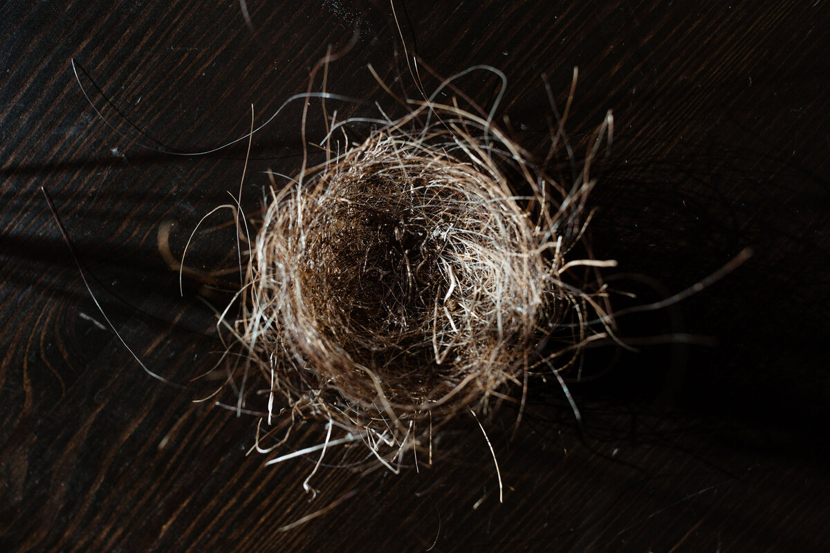 The Nest Project