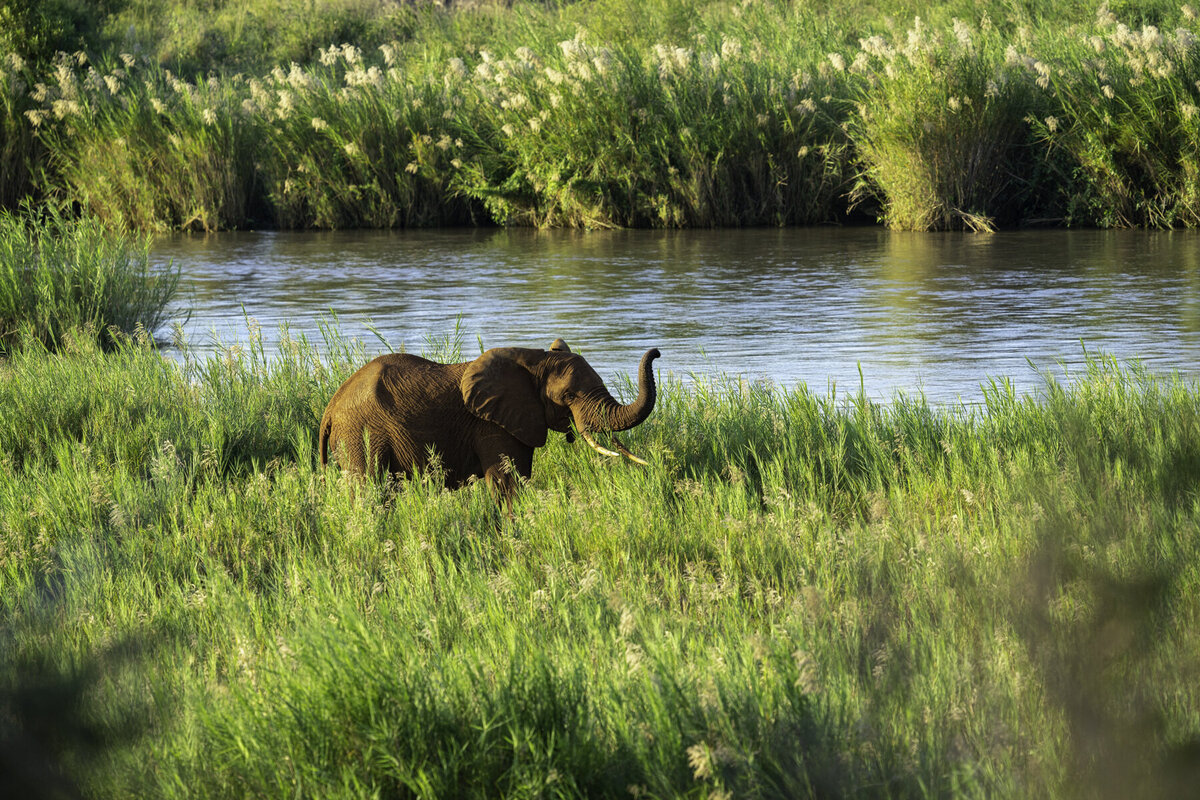 all things wild contact all things wild tours