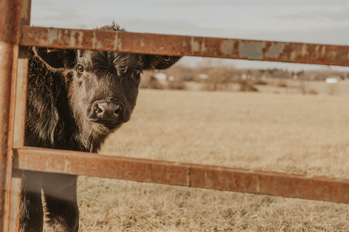 Farm Event | 22 Acres Farm