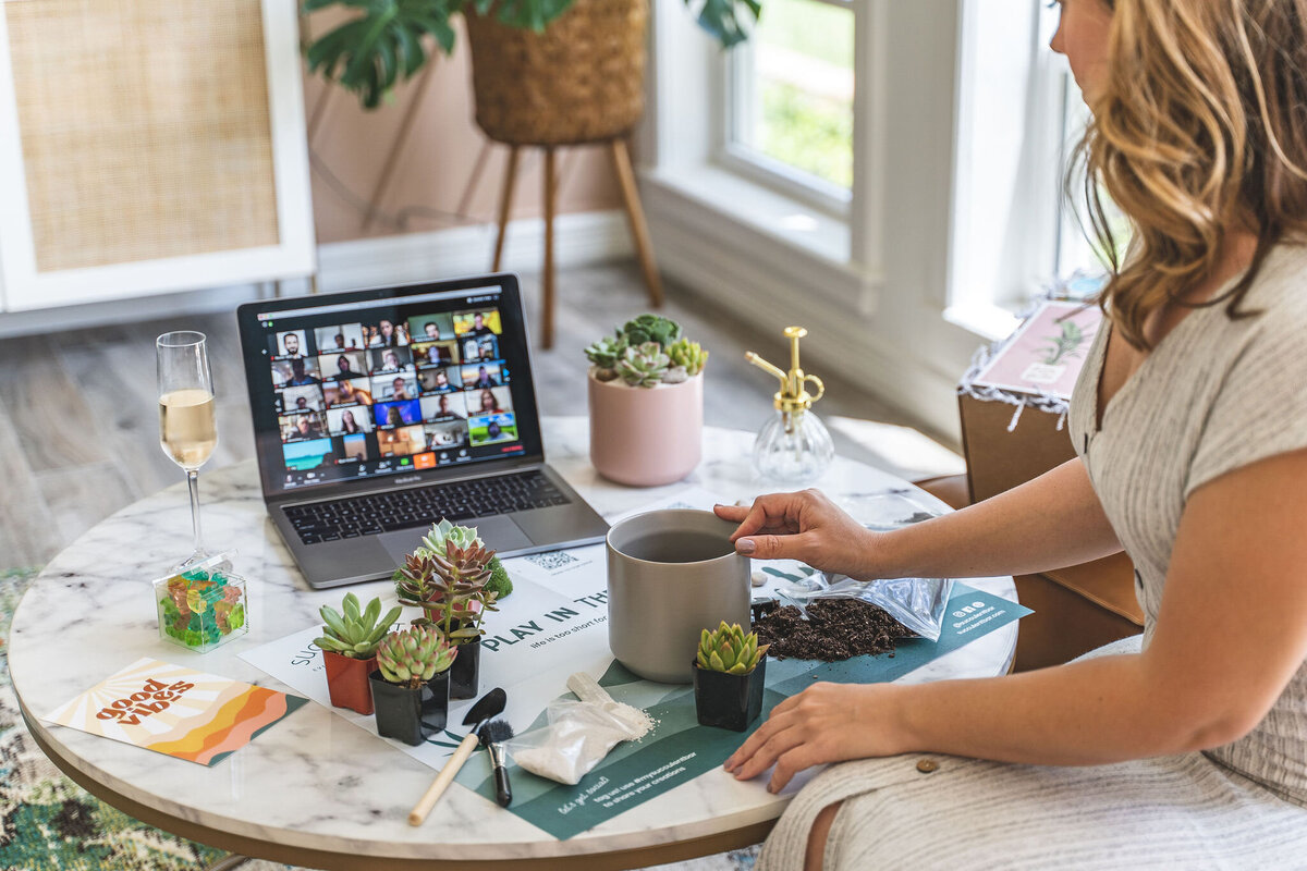 Interactive Virtual Succulent Class | Succulent Bar