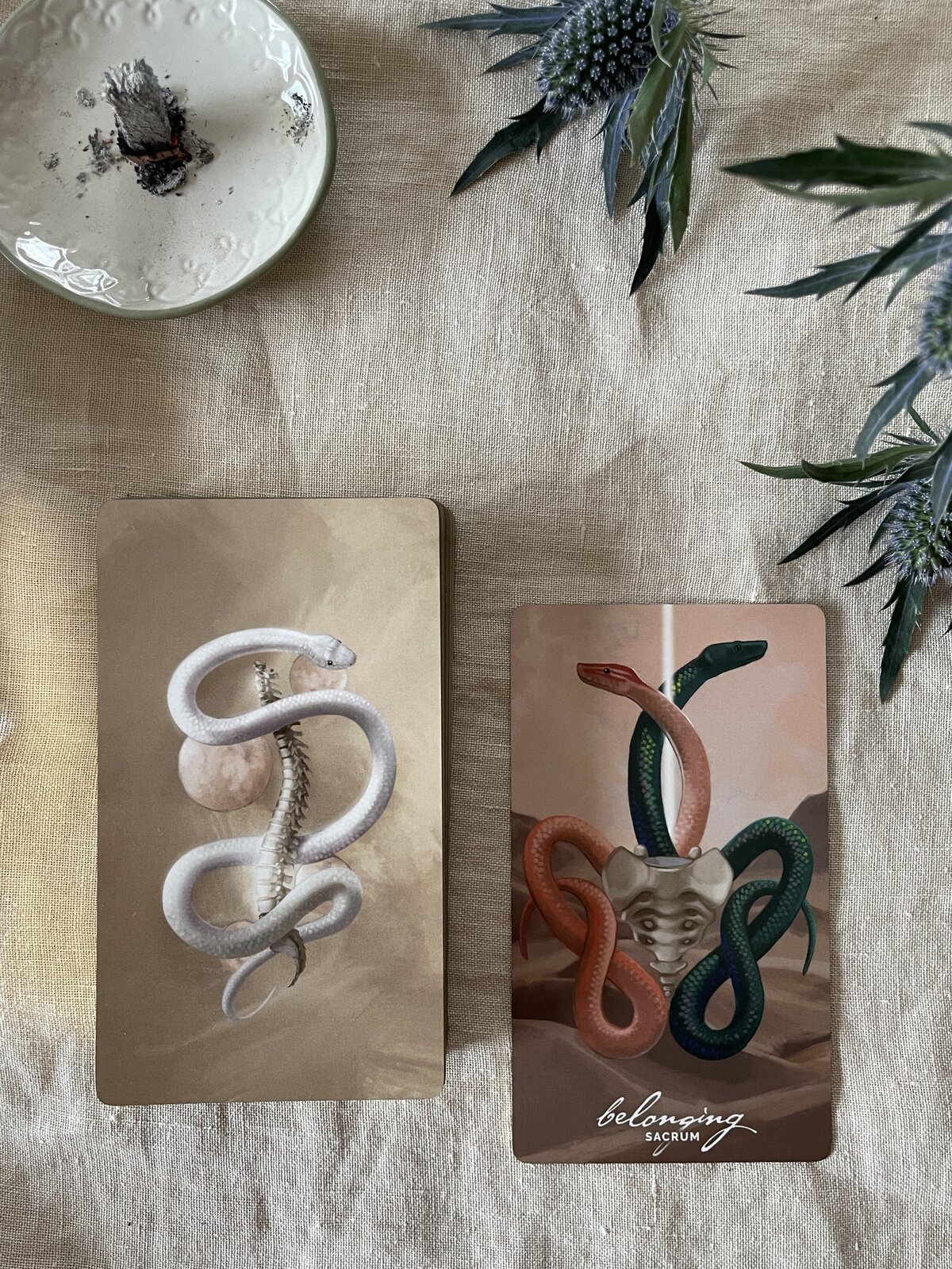 Bone Codes Oracle Deck and Instructional Guide | Ash Stinson