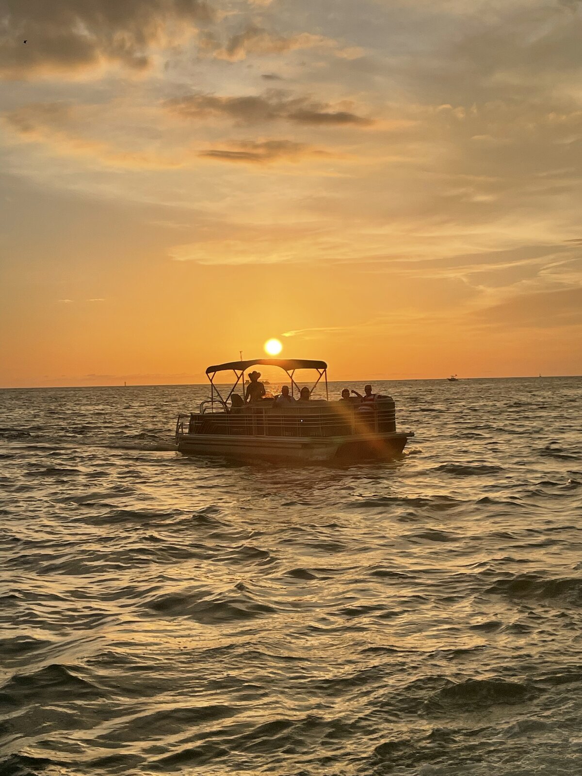 Dolphin Tour, Johns pass , Shell key tours, Egmont Key tour