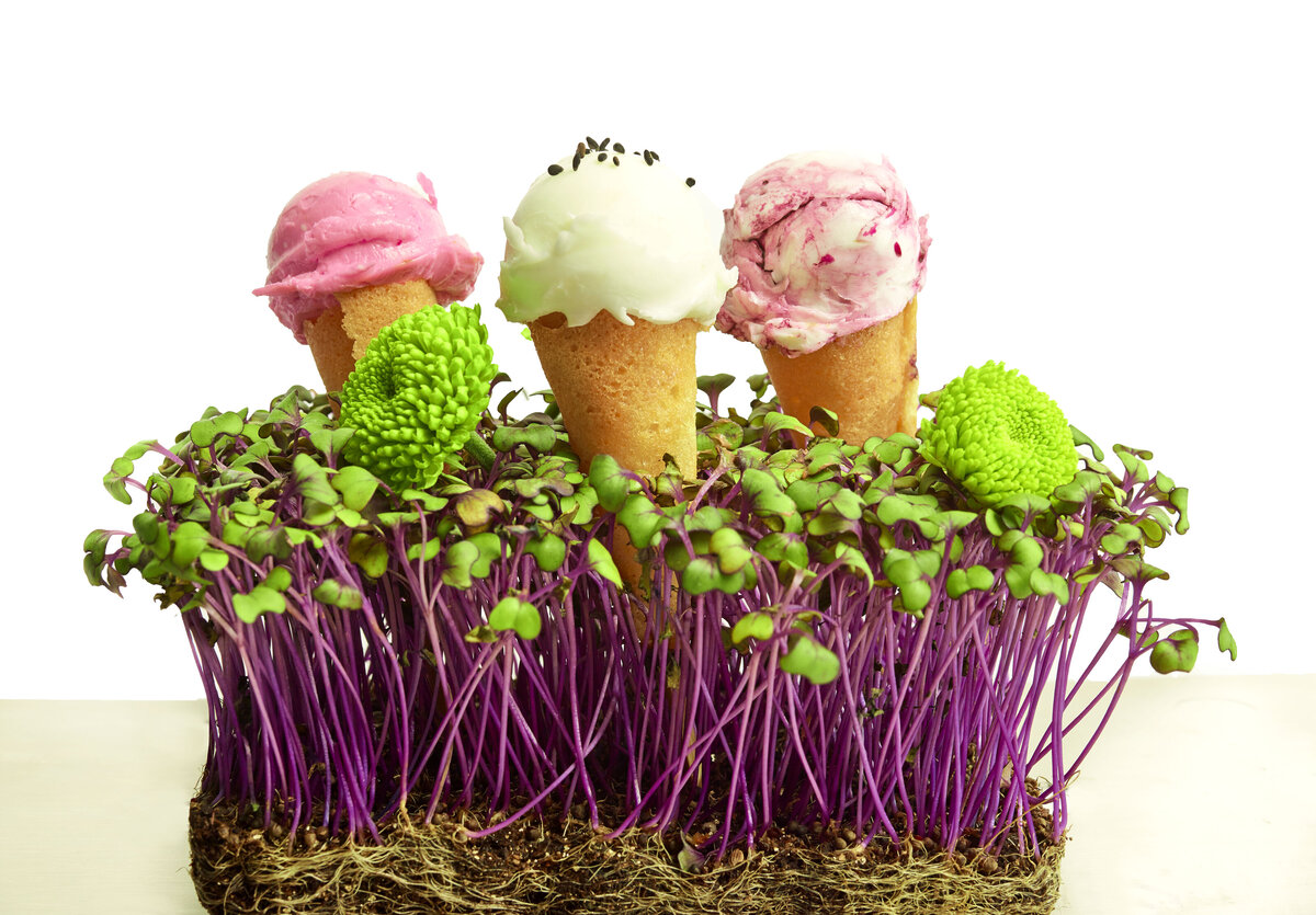 Food Works Craft Catering - Bronte Bride Vendor Guide