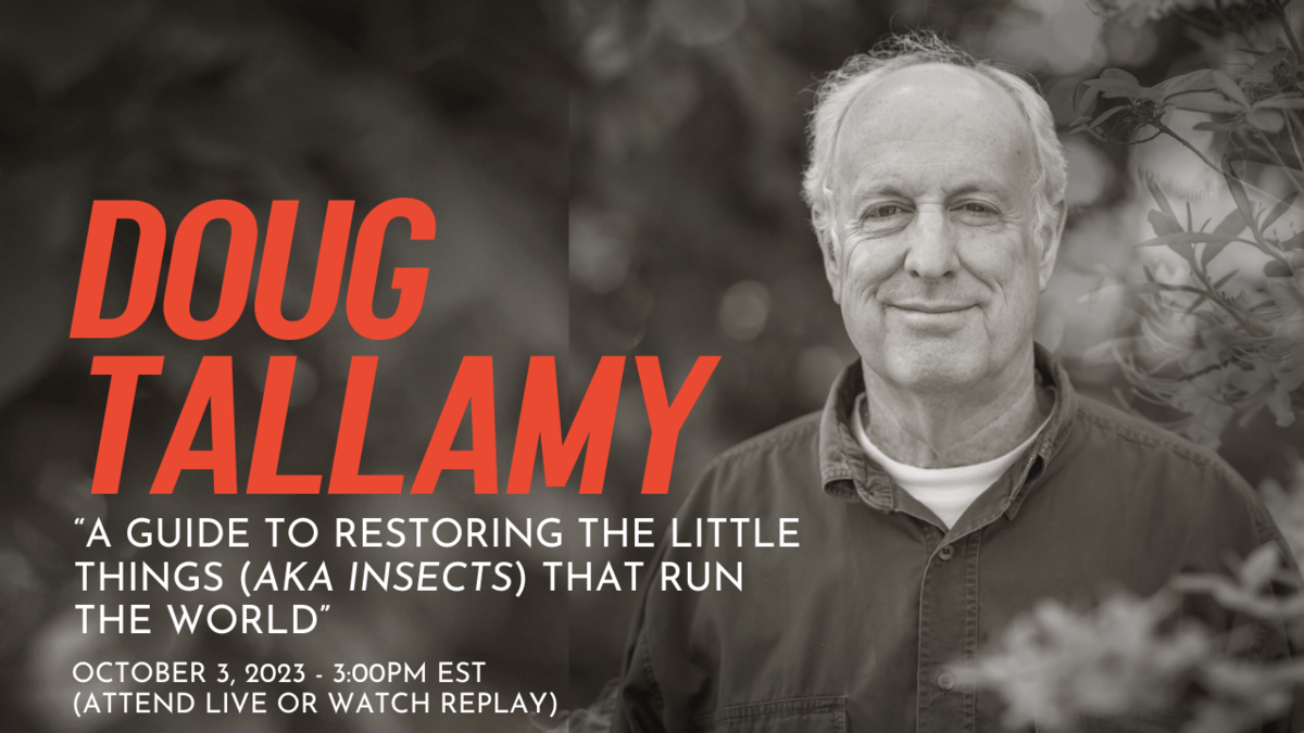 In-depth Garden Design Education for Amateurs and Professionals in only ...