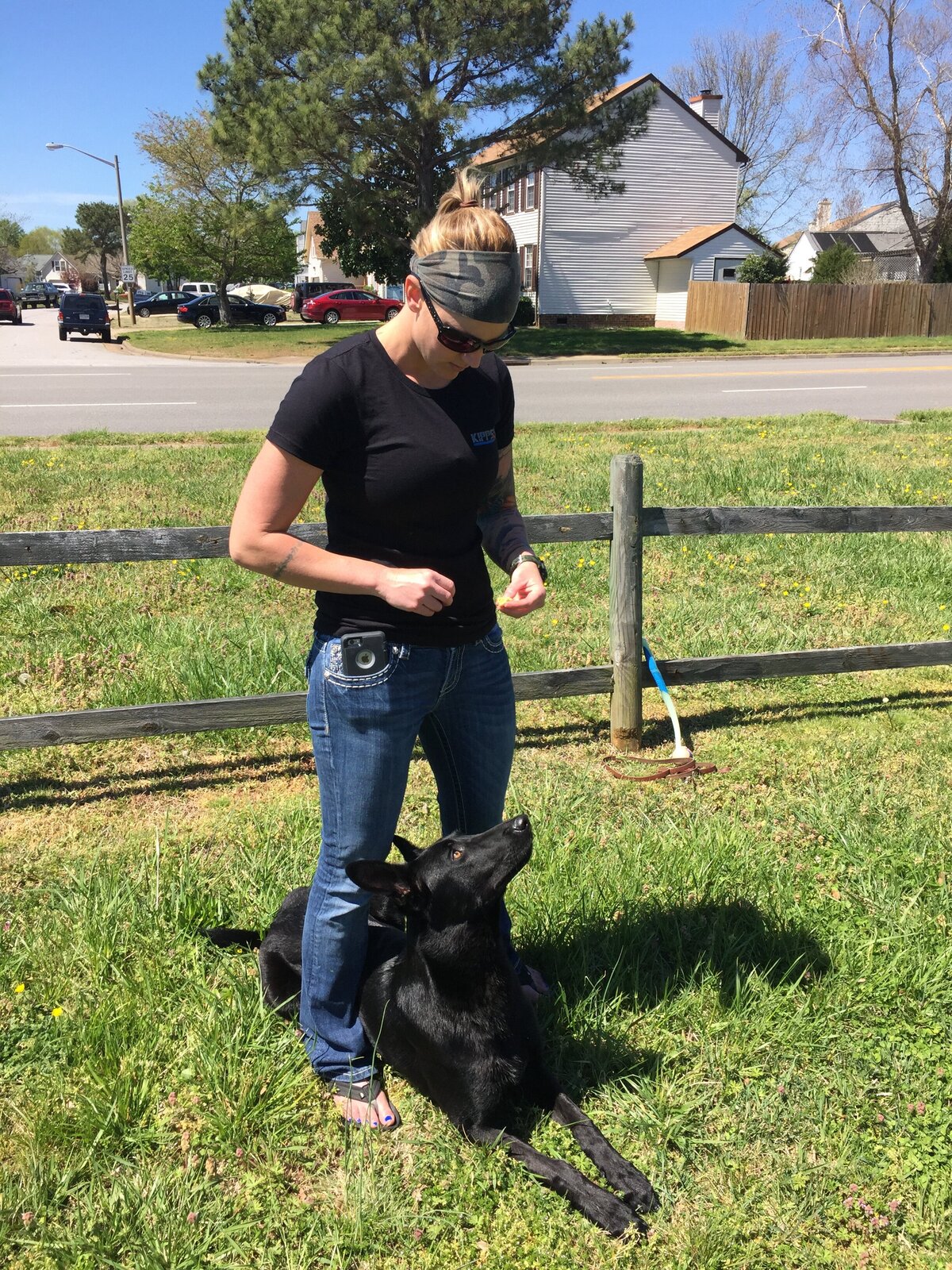 Hampton Roads Off Leash K9 Training | High Ground K9