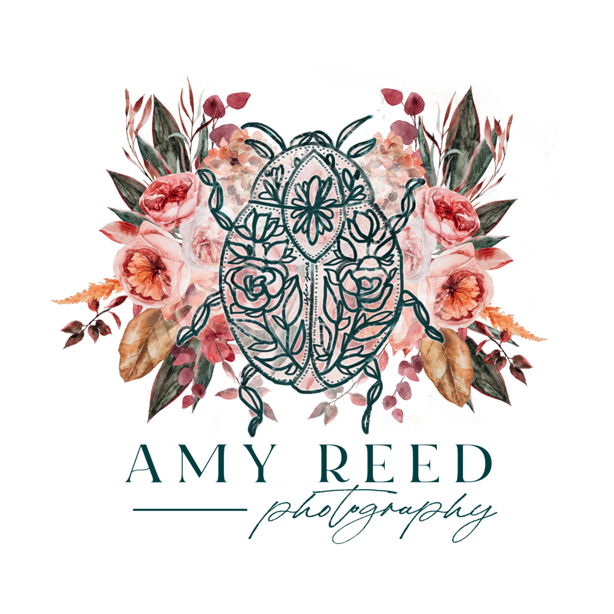 Amy Reed Photography