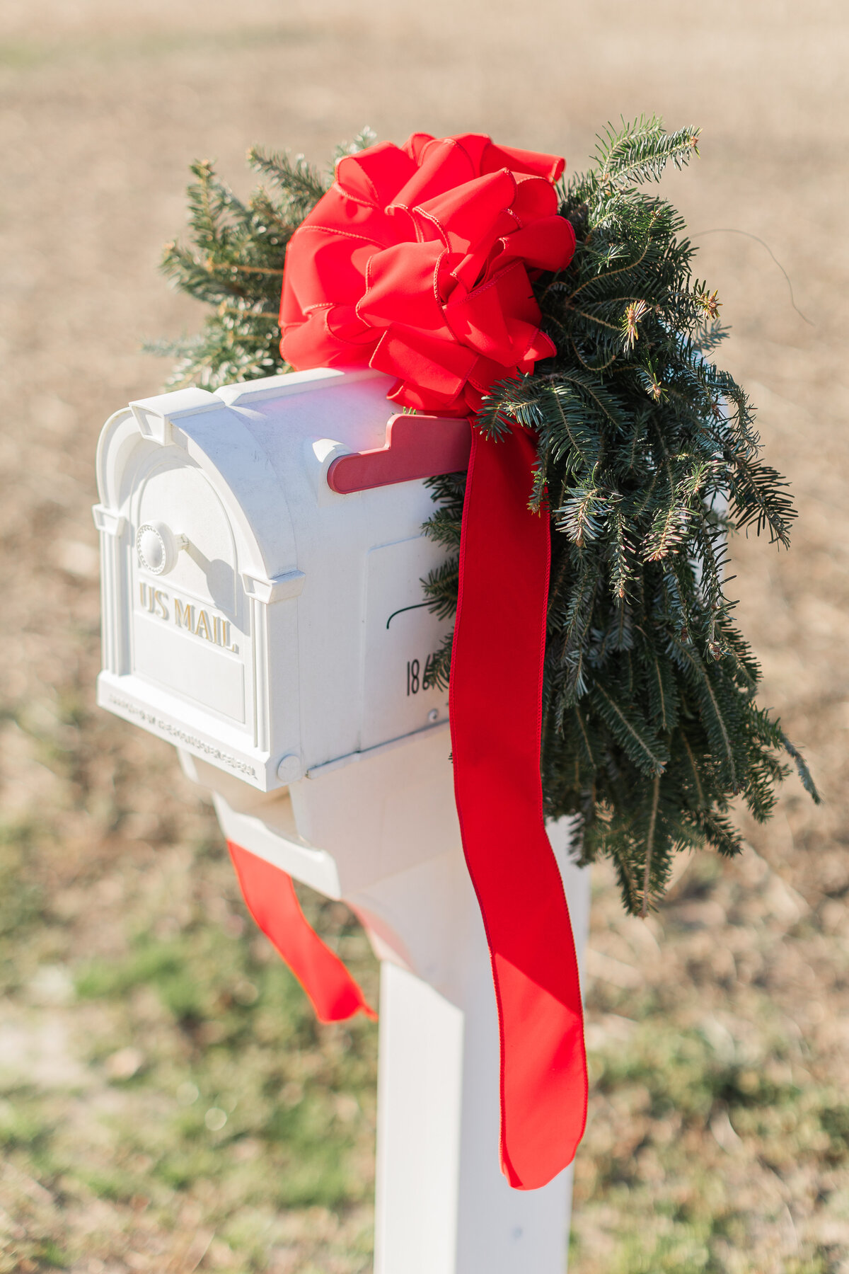 Fresh Mailbox Swag | Sanderson Wreaths and Garlands