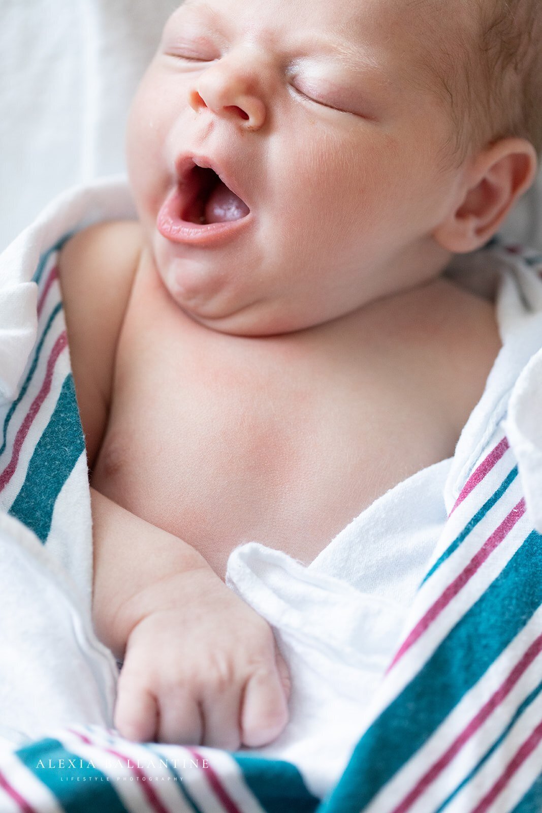 Maryland Newborn Photographer