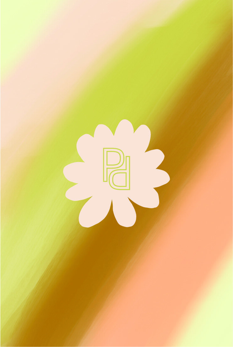 Saltd Shop | Premade Customizable Brands, Showit Templates