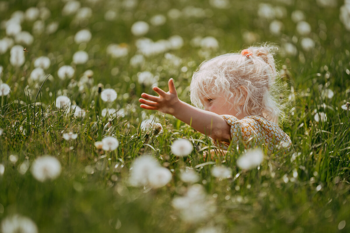Bij Boer Bas is een agrarisch kinderdagverblijf