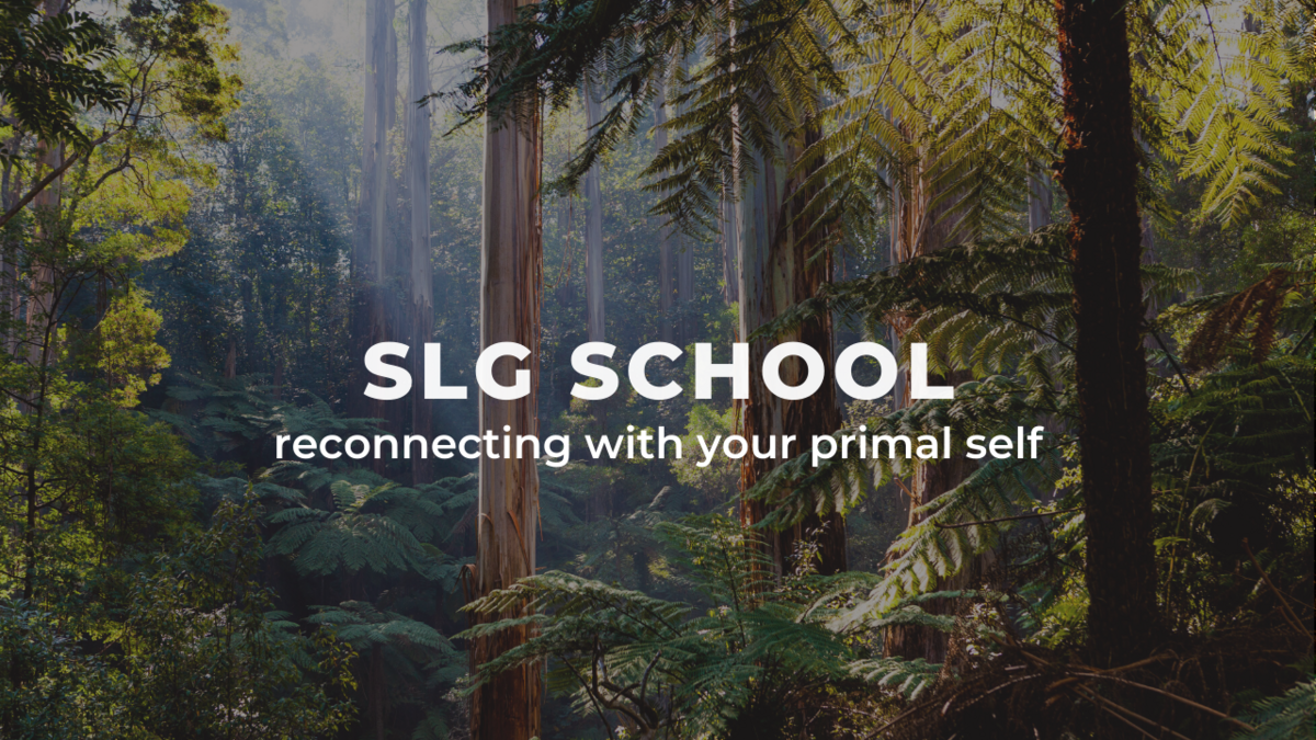 SLG School