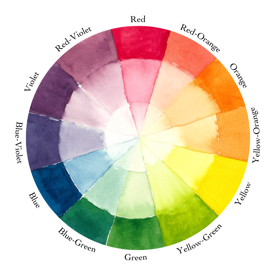 Exploring Color Theory: The Art and Science of Color
