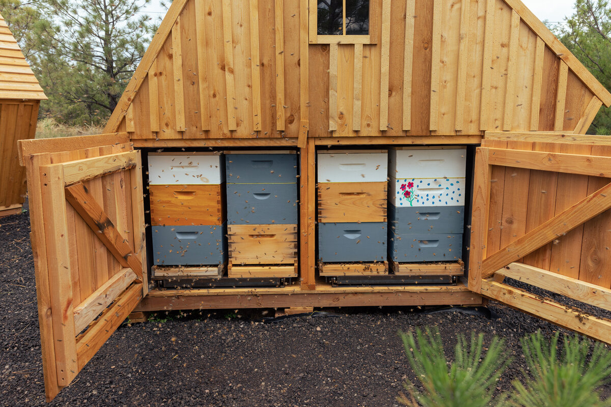 Home [capellaranch.com]