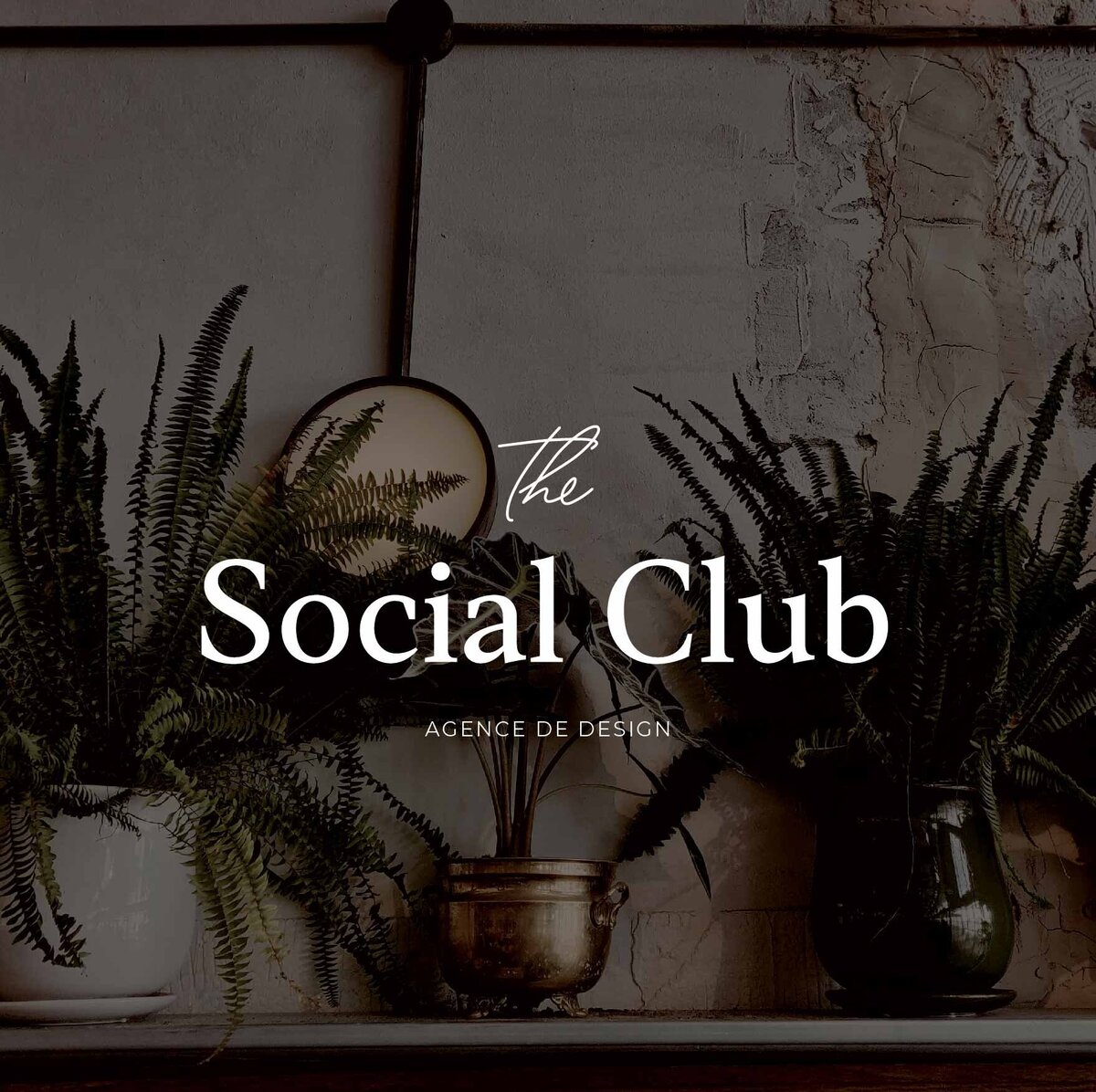 The Social Club | Web Design & Logo | Montréal