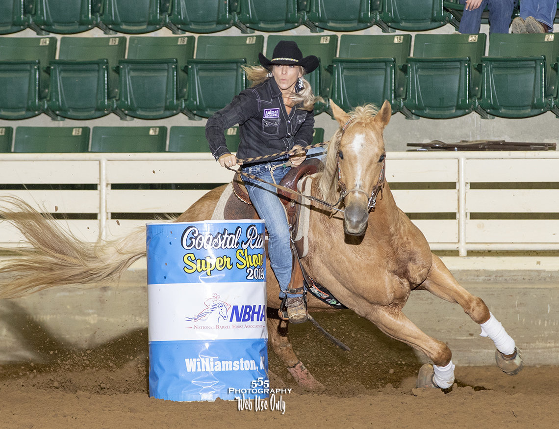 Horse Shows - 555 Photography