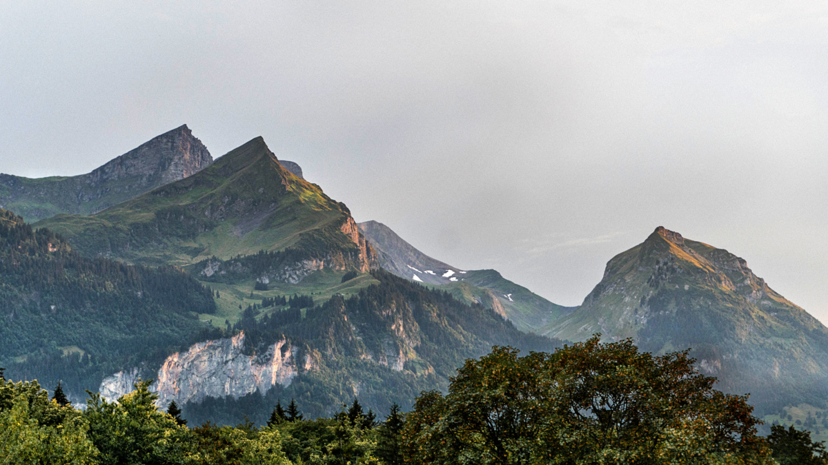 Stoneford's New Online Home is Coming Soon!