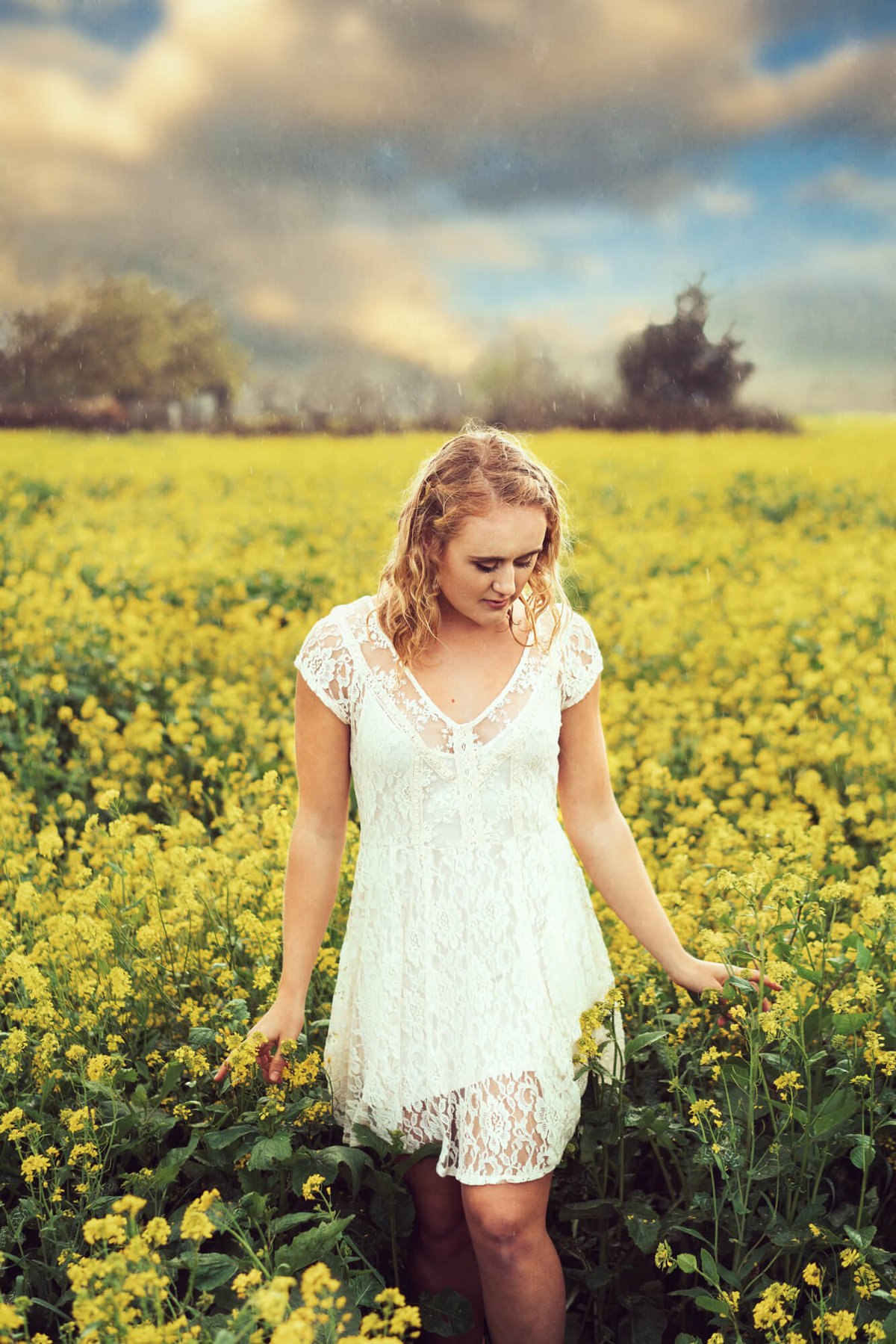 David Suh Photography