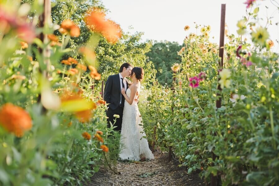 Napa Wedding Photographer | One Love Photography