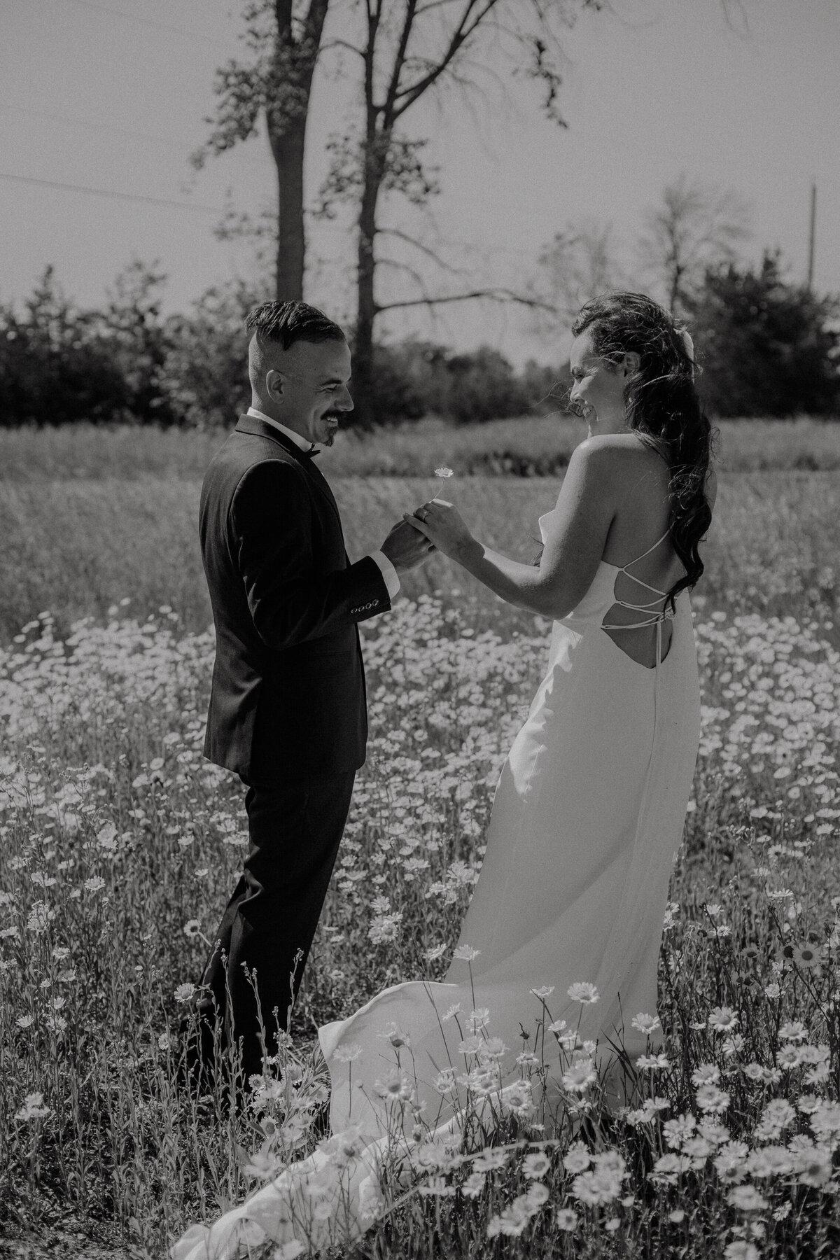 Home [emilycrites.com]