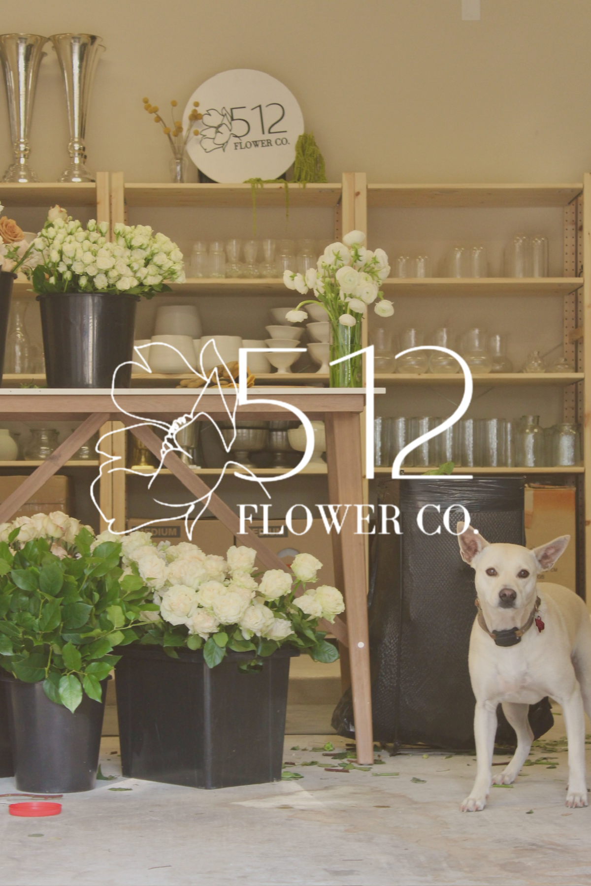Home | 512 Flower Co