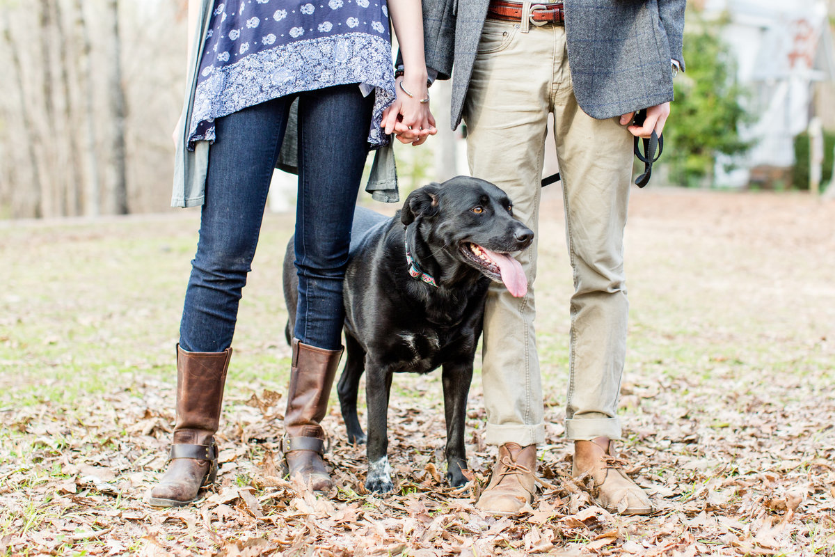 Home [www.chelseamortonphotography.com]