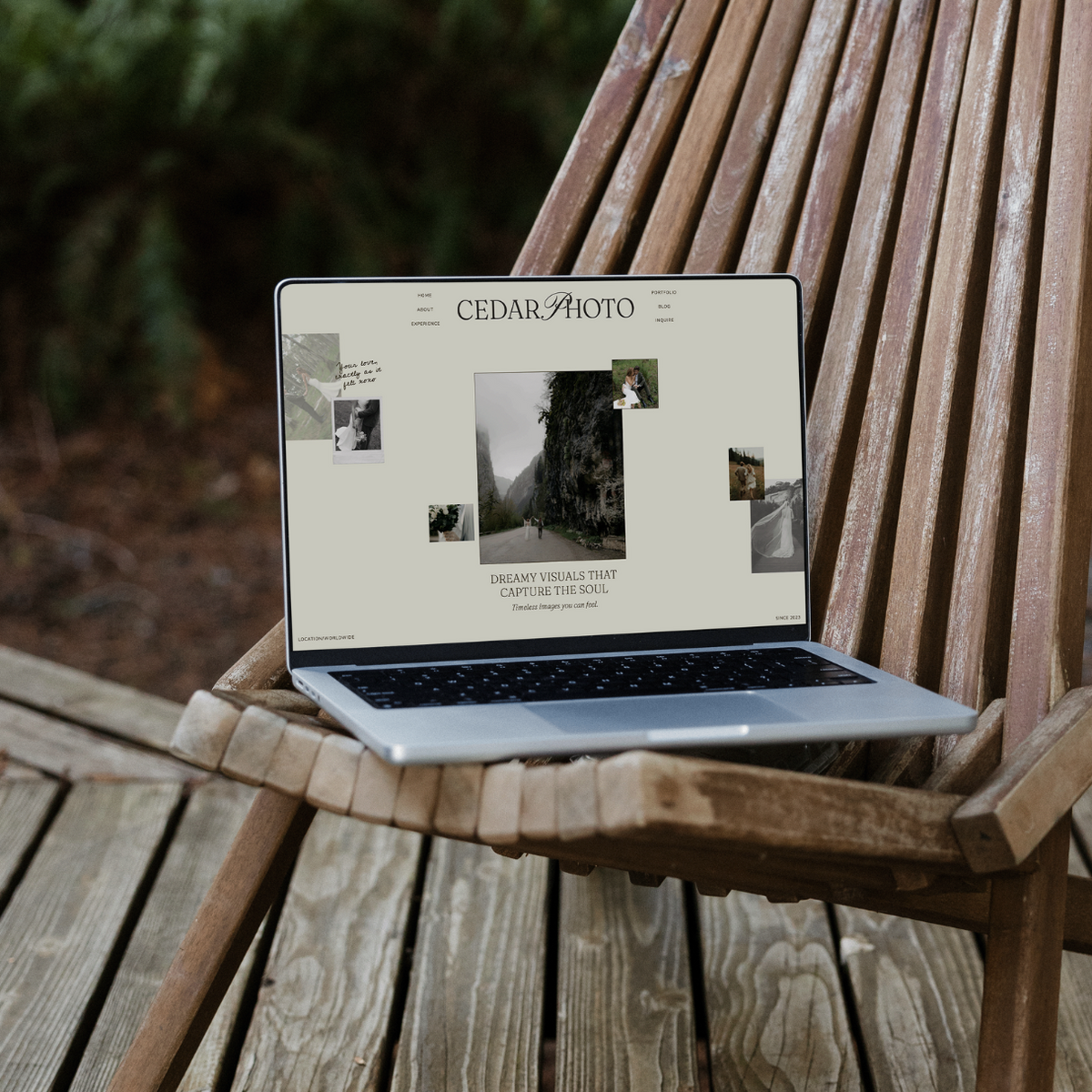 Cedar Showit Website Template for Photographers & Creatives