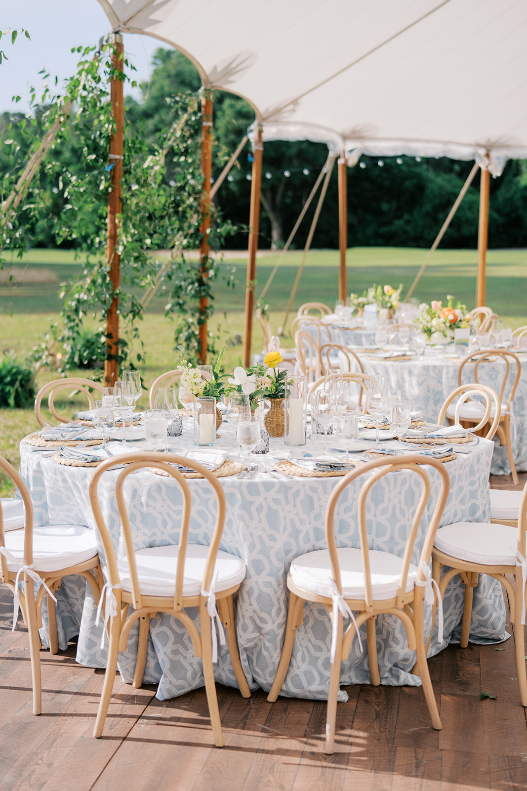 Contact Madison Sapp | Savannah Ga Photographer