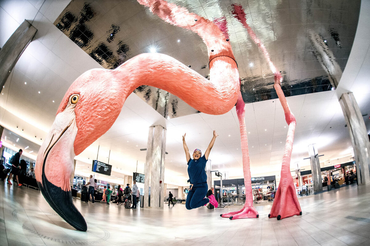 Dr. Flamingo Travel | Credit Card Myths