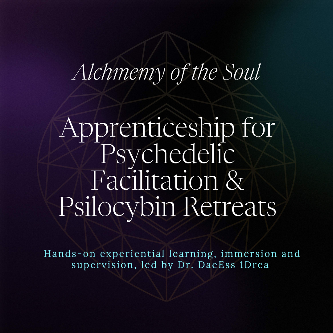 Alchemy of the Soul Apprenticeship - Guided by Dr. 1Drea Pennington Wasio