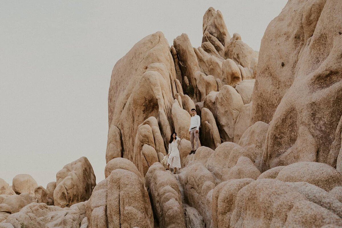 Joshua Tree Elopement Photographer | Tiffany Woerz Photo